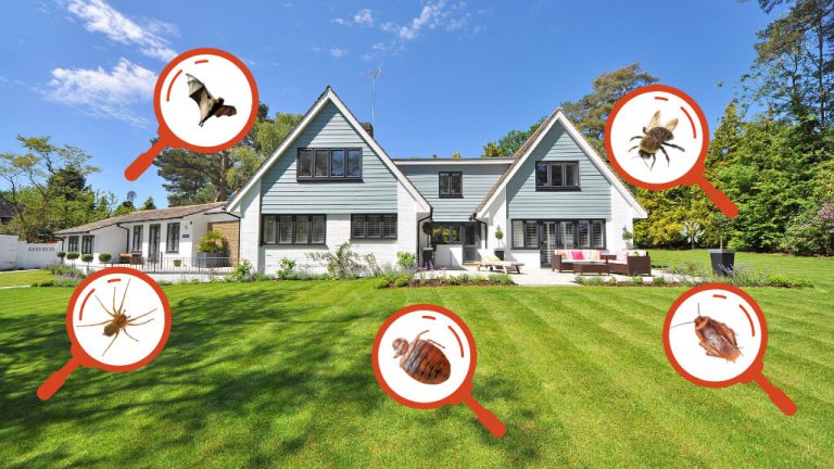 Residential Pest Control Service in New Jersey - Capitol Exterminating ...